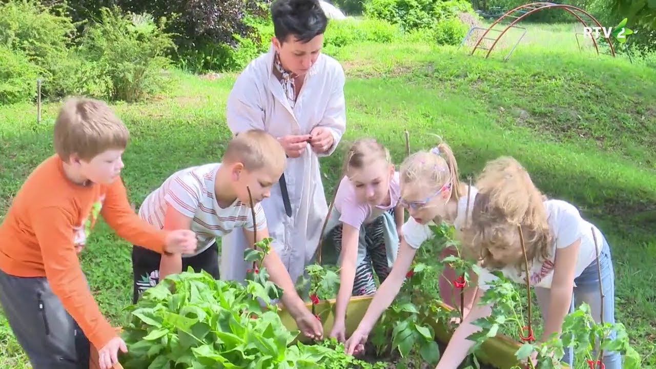 A bácskertesi kisdiákok kertészkedni is megtanulnak (Barázda) - YouTube