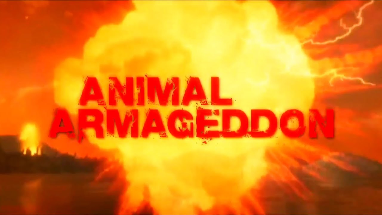 Animal Armageddon 2009 Intro - YouTube