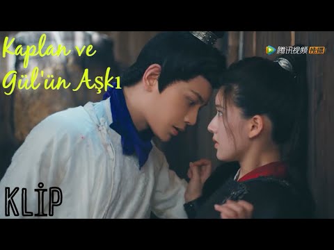 【Kaplan ve Gül'ün Aşkı】Klip | Han Shuo'ya tuzak kuruyorlar! | 传闻中的陈芊芊 The Romance of Tiger and Rose
