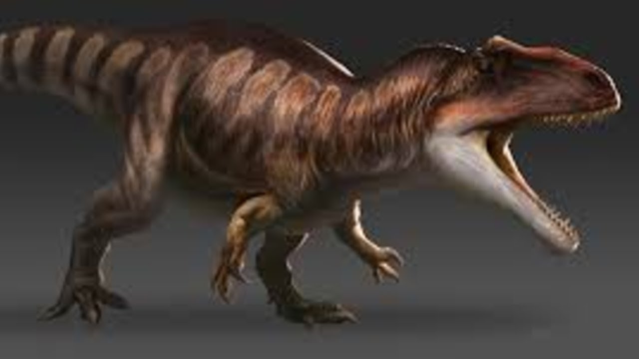 Dinossauros Pré Históricos Que Se Destacaram | Giganotossauro - YouTube