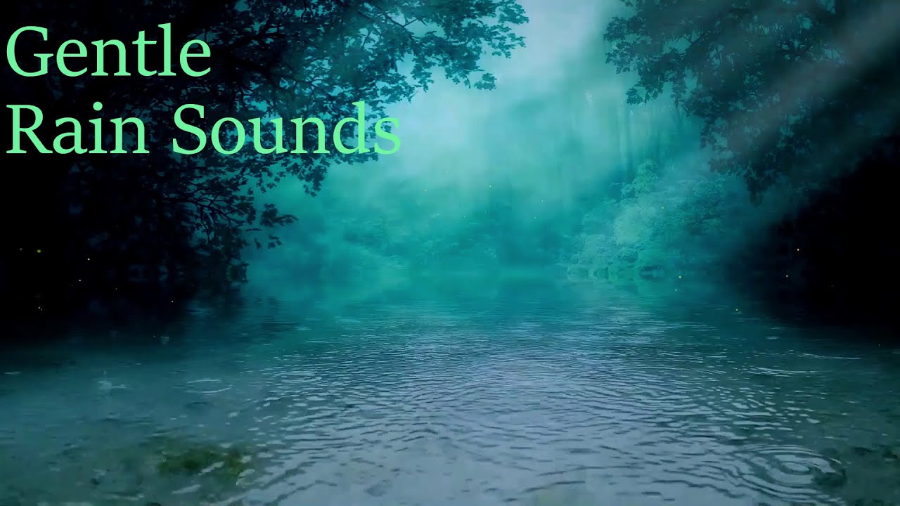 Firefly Forest Rain Ambience | Relaxing Loop & Sounds For Sleeping ...