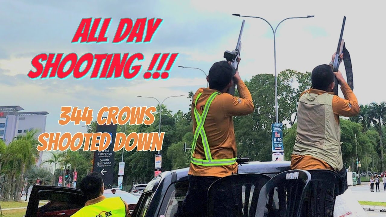 OPERASI CROW SHARPSHOOTER (OPS CroSS) MBSP EDISI MINI 3 2023 - YouTube