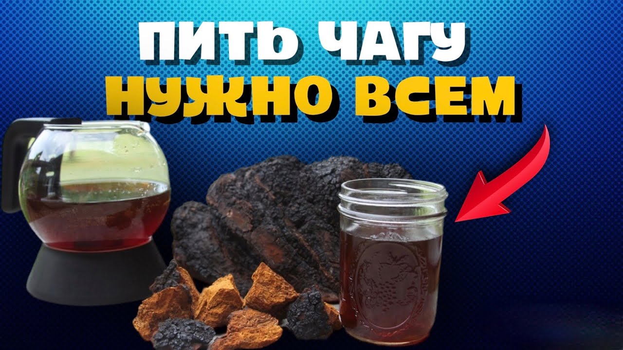 20 причины начать пить березовую Чагу Пoразительный эффект Youtube