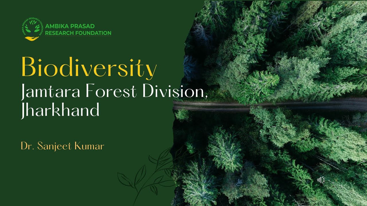 Biodiversity of Jamtara Forest Division, Jharkhand, #jamtara #jharkhand ...