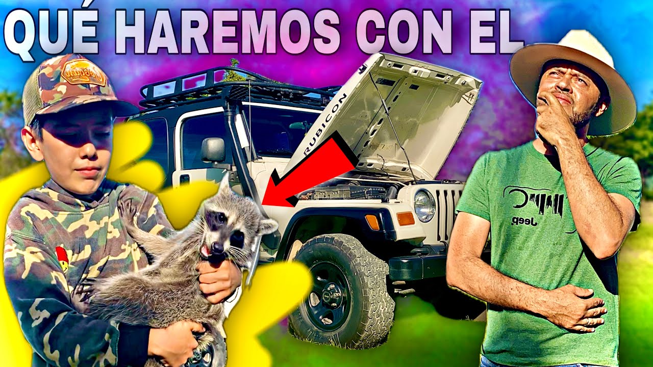 No sabemos que hacer con PACHO 🦝 🤔// Preparado LOS EQUIPOS para LAS ...