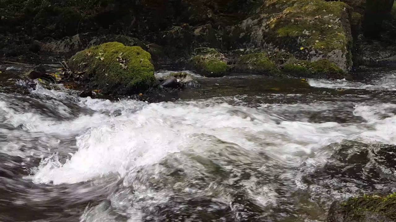 River the Lesse Belgium (part 2) - YouTube