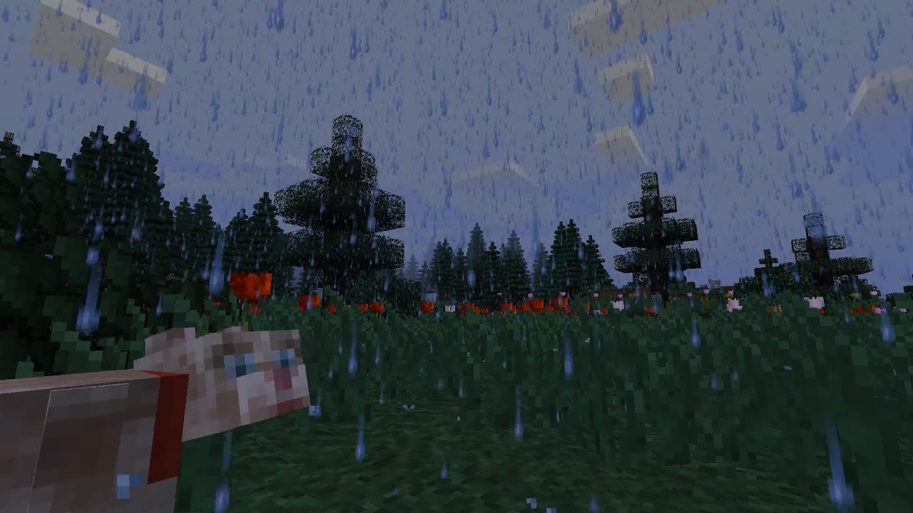 Minecraft Rain Sounds in Woods - 15 Minutes Relaxation - YouTube