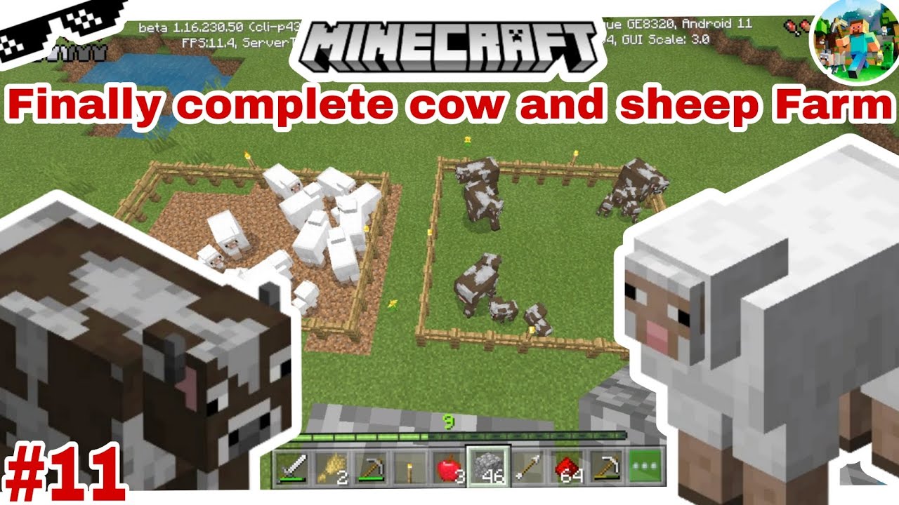Finally complete cow and sheep Farm and Minecraft survival mode 555 ...