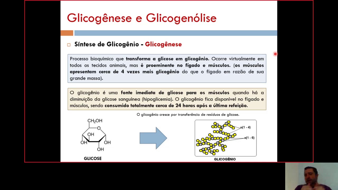 (SEMESTRE 1B) Aula 05 - Glicogênese e Glicogenólise - YouTube