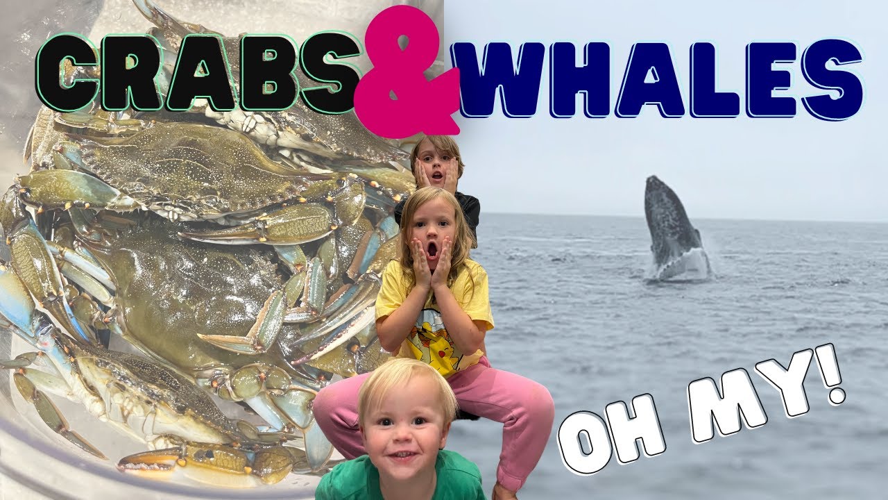 Whale Watching, Crabbing & Other RV Life Adventures in Massachusetts ...