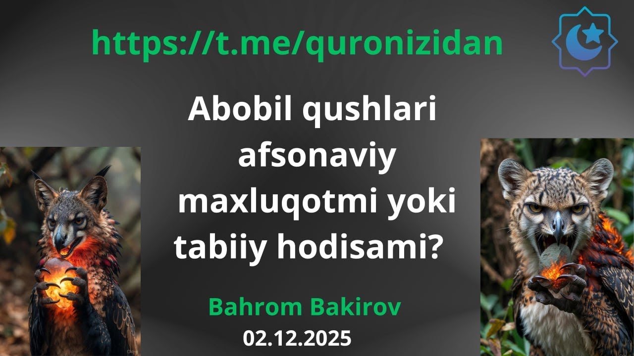 Abobil qushlari magiyami yoki tabiiy hodisa - Bahrom Bakirov - YouTube