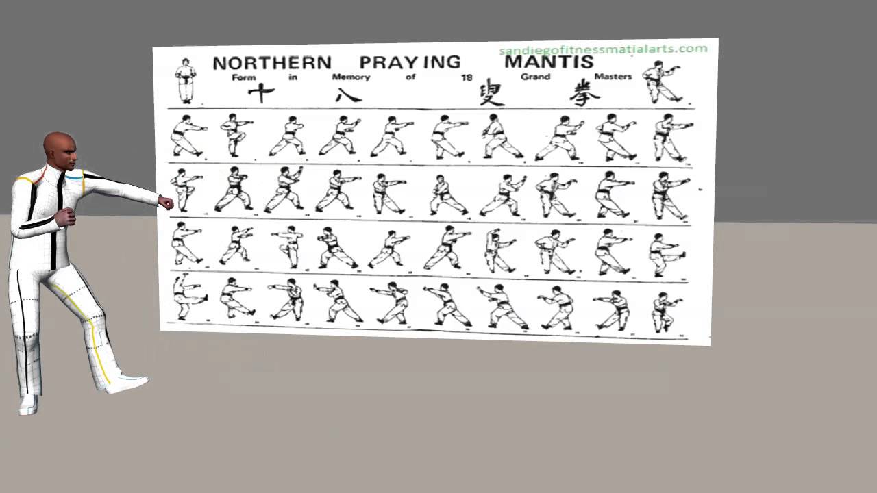 northern mantis - YouTube