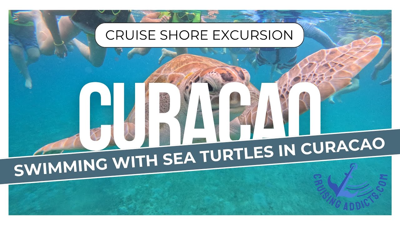 Cruise Shore Excursions - Sea Turtles in Curacao Swimming and ...