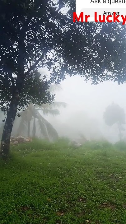 𝗽𝗹𝗲𝗮𝗰𝗲 𝘀𝘂𝗽𝗽𝗼𝗿𝘁 𝗺𝘆 𝗰𝗵𝗮𝗻𝗻𝗲𝗹 🙏🏻🥰#idukki#mrlucky - YouTube