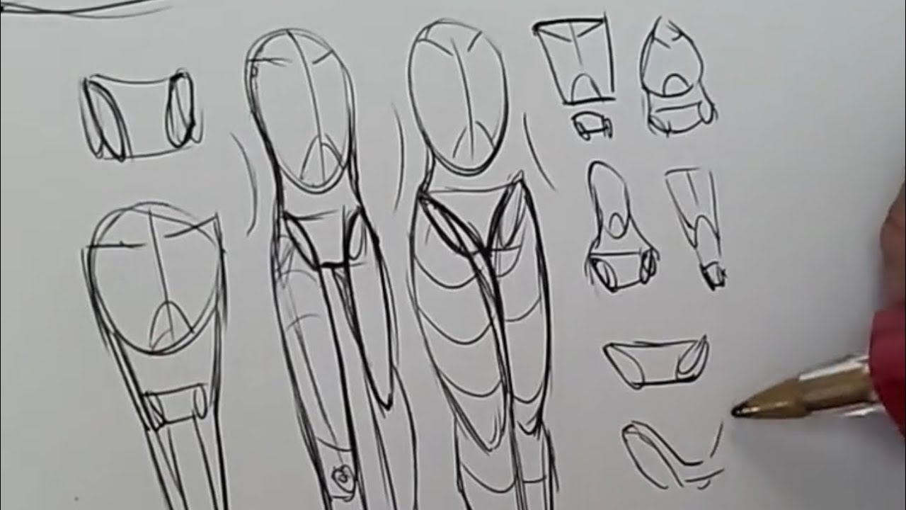 Even More anatomy tips for artists! - YouTube