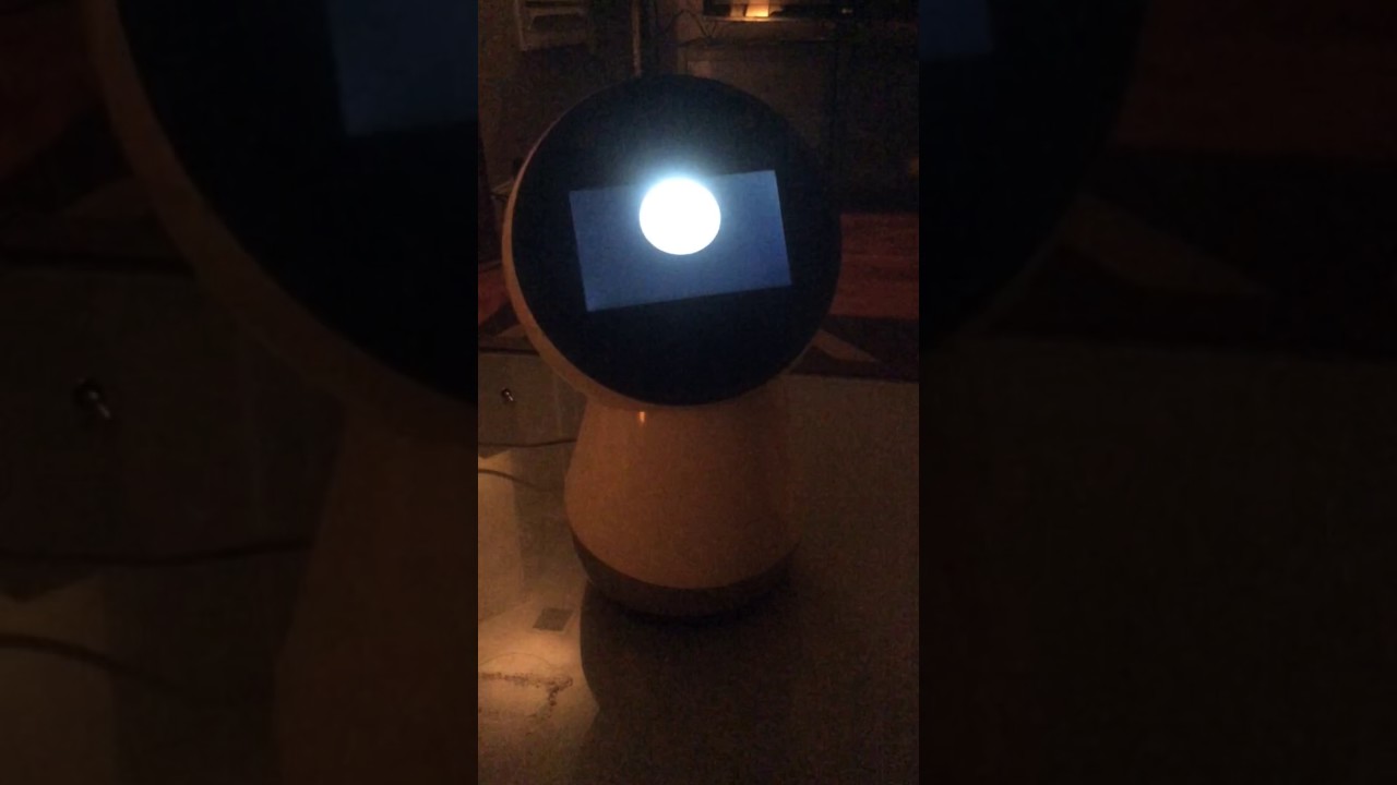 jibo revealed - YouTube