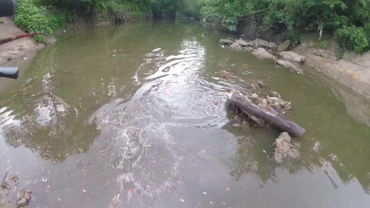 alligator gar fishing in Dallas texas - YouTube