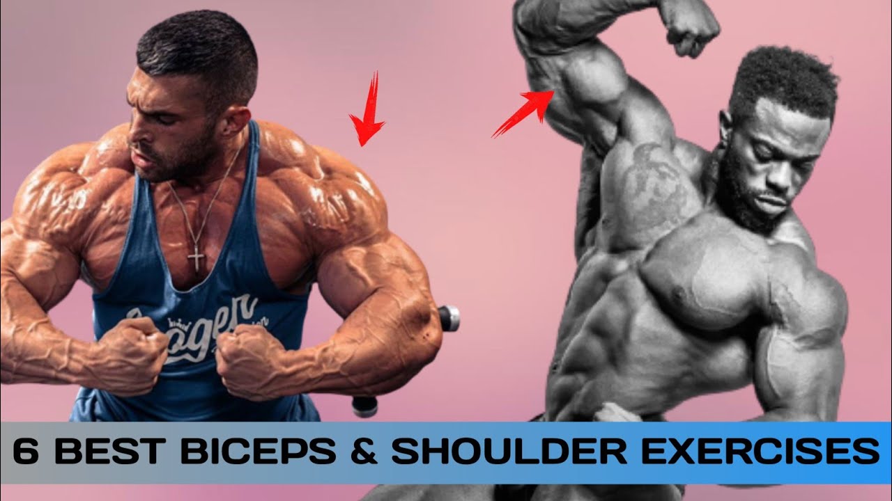 6 Best Biceps & Shoulder Exercises ( Wide Biceps , Wide Shoulder ...