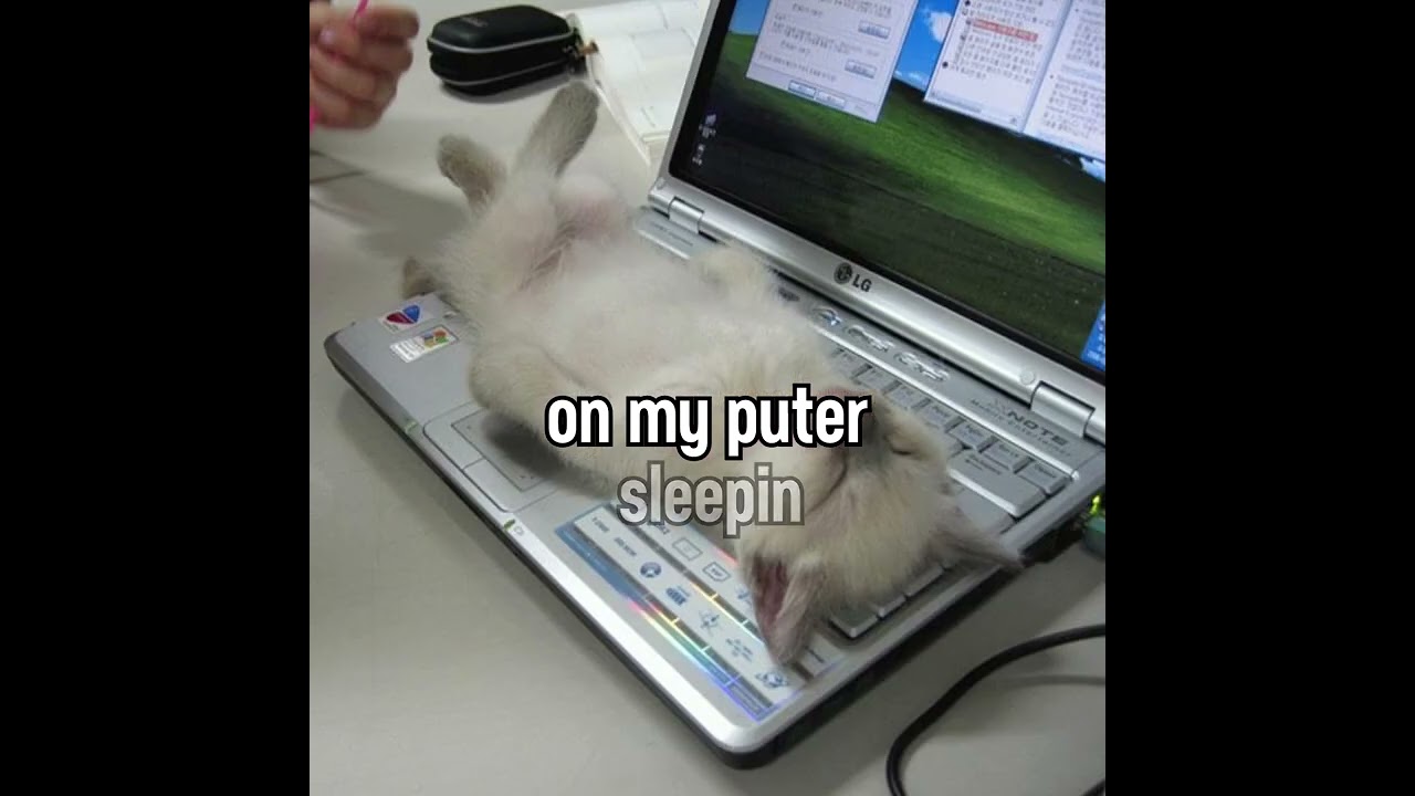 Cat on his puter meme the sequel to the sequel to the squeakquel - YouTube