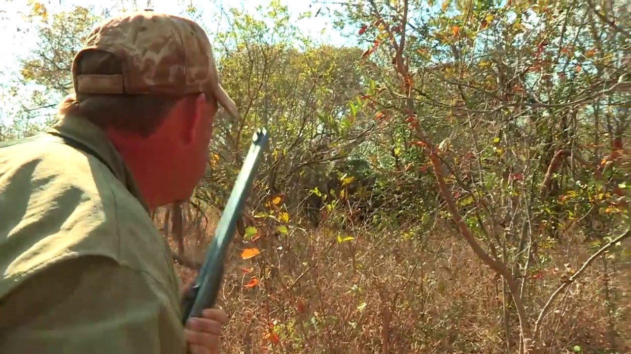 Elephant Hunt Up Close at 14 Yards Zimbabwe Tim Herald and Buzz ...
