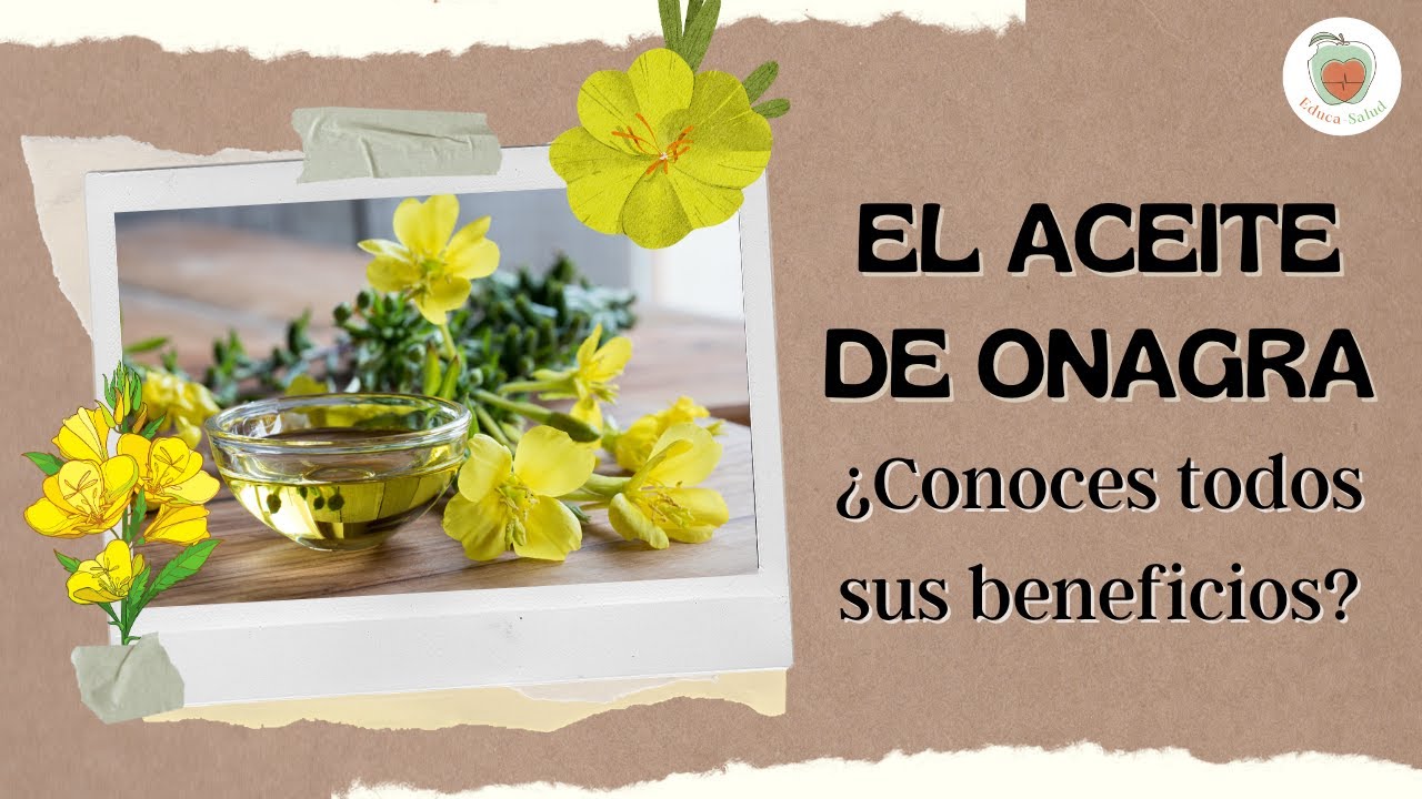 EL ACEITE DE ONAGRA: Beneficios y el Síndrome Premenstrual - YouTube