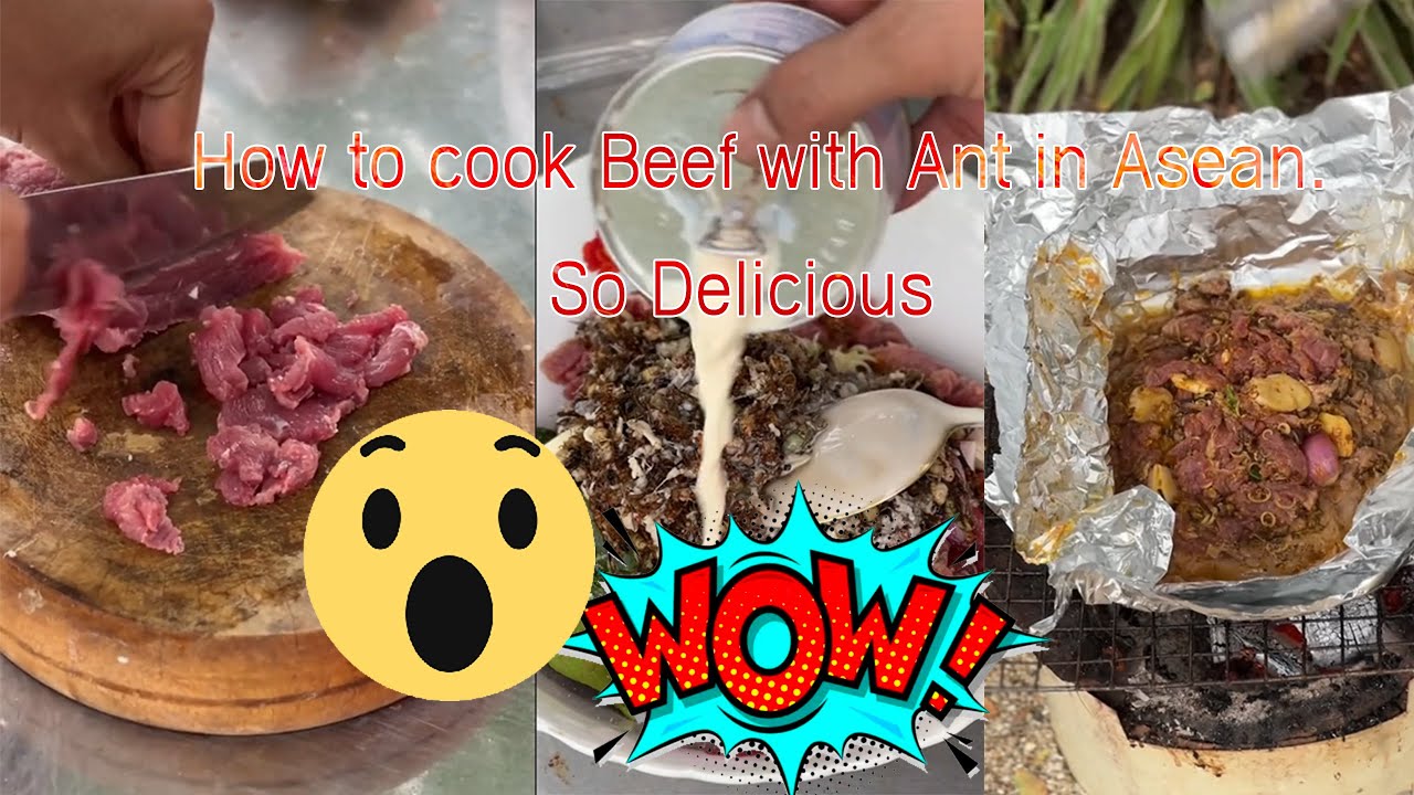 cooking ant with beef - YouTube