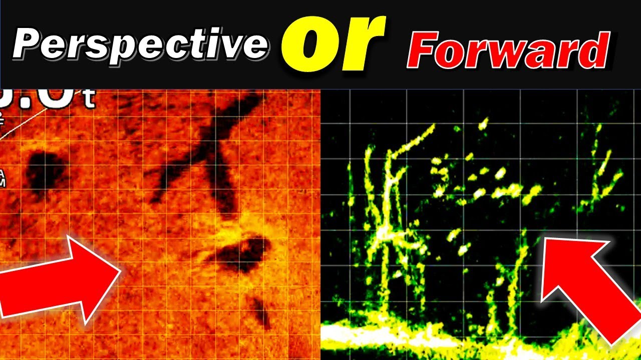 Fishing with Livescope 101: Perspective vs. Forward Mode - YouTube