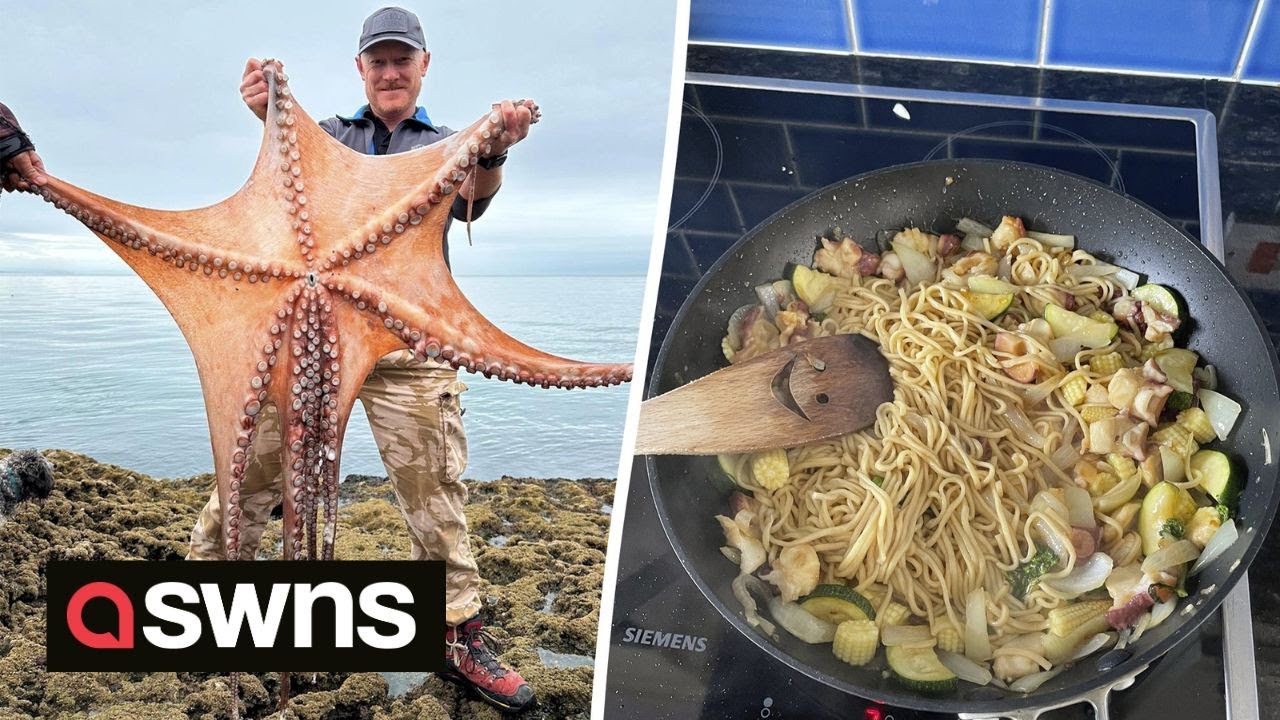 Dad finds 'massive' octopus off British beach and eats it at home for ...