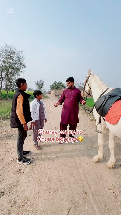 Ghoray Walay Ko Chuna Lag Gaya🤣🤣🤣#funny #shorts #vitalfunnyshorts that - YouTube