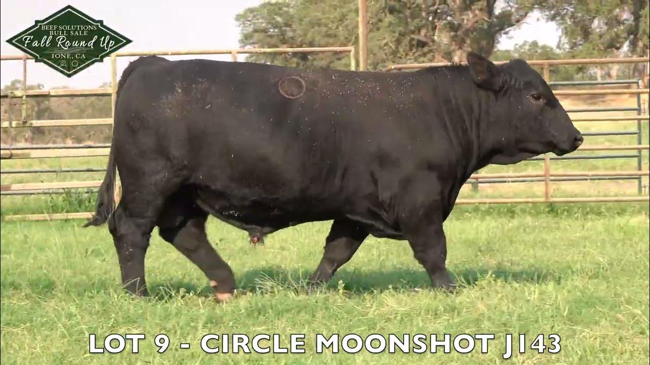 LOT 9 CIRCLE MOONSHOT J143 - YouTube