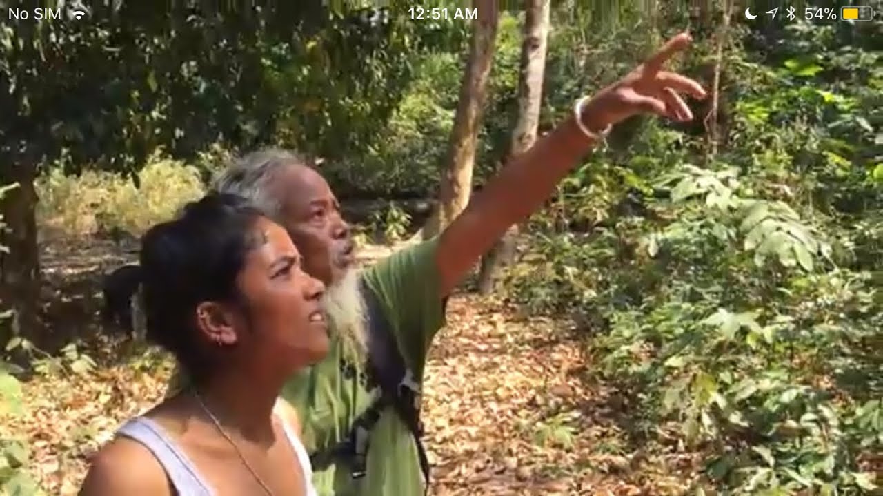 Chitwan National Park Jungle trek in Madi part 4 - YouTube