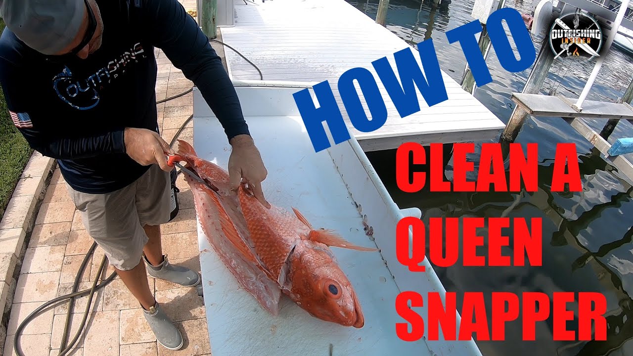 HOW TO FILET A QUEEN SNAPPER | THROAT - YouTube