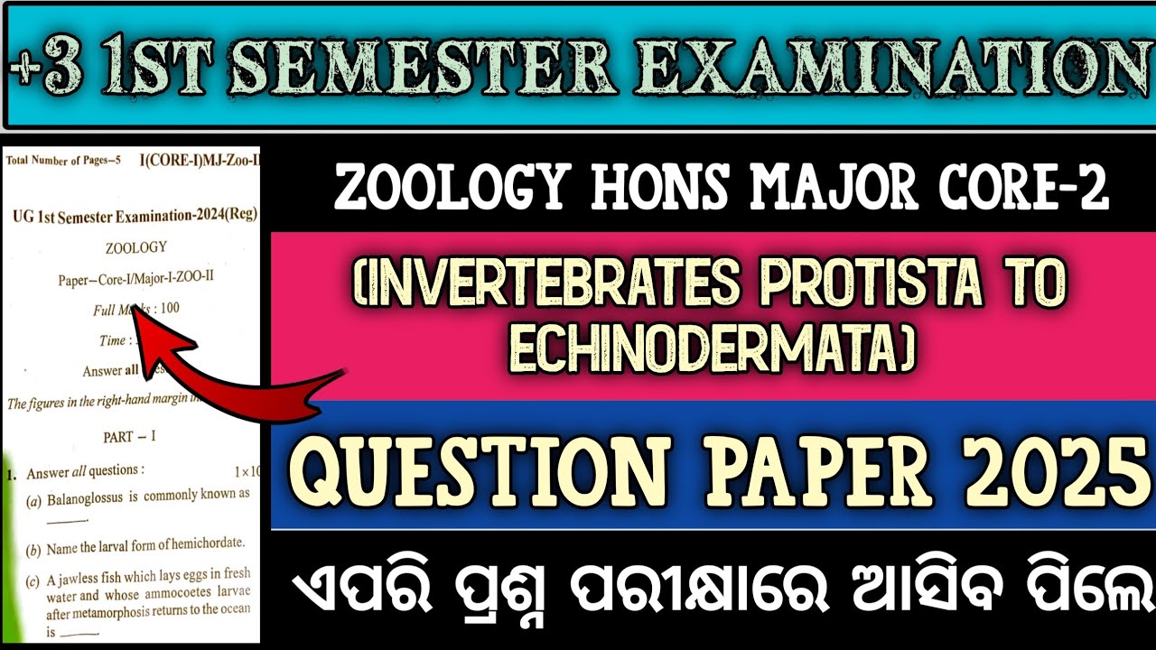 Zoology hons 1st sem major 1 question paper discussion 🔥 // 1st sem ...
