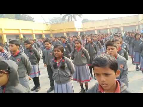 KV Pusa Kanada - YouTube