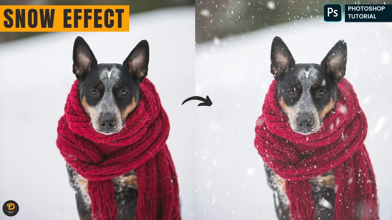 Snow Effect In Photoshop: Add Realistic Snow to Your Photos with ...