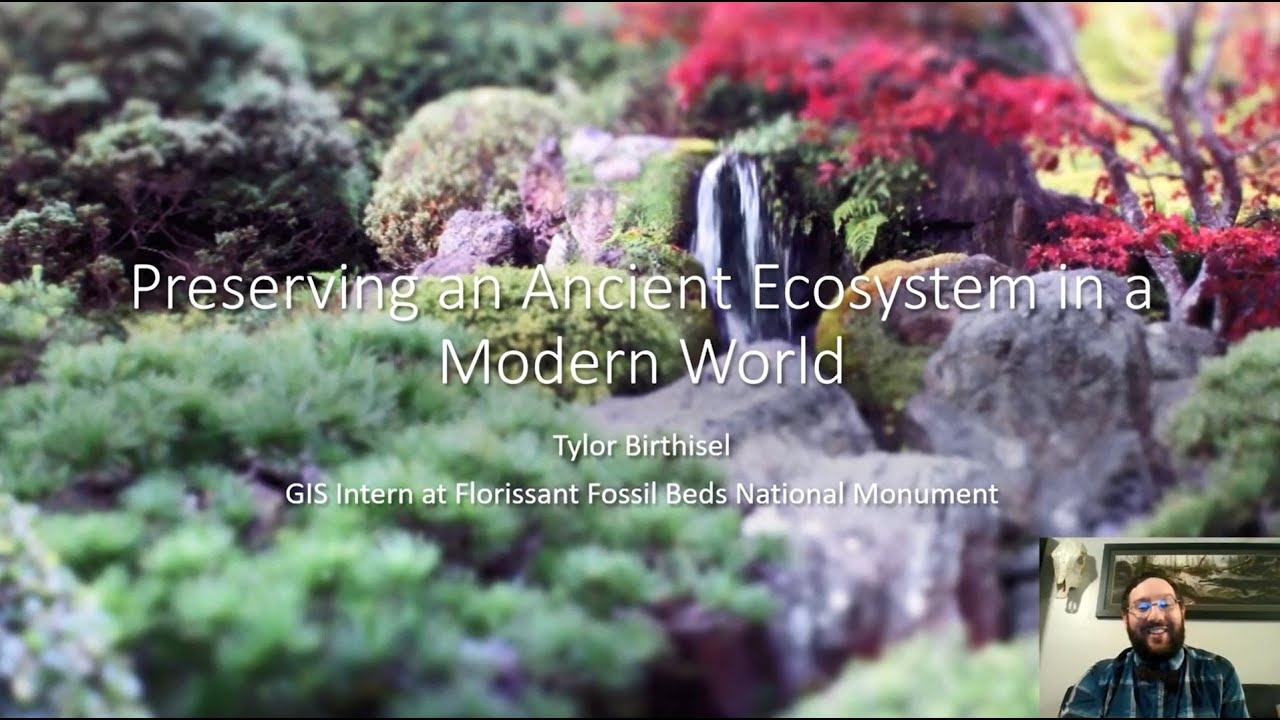 Preserving an Ancient Ecosystem in a Modern World - YouTube