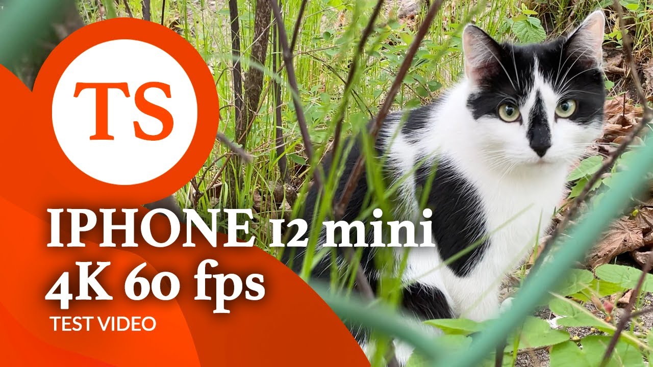 iphone 12 mini 4k 60fps - video sample footage - 2021 Międzyzdroje ...