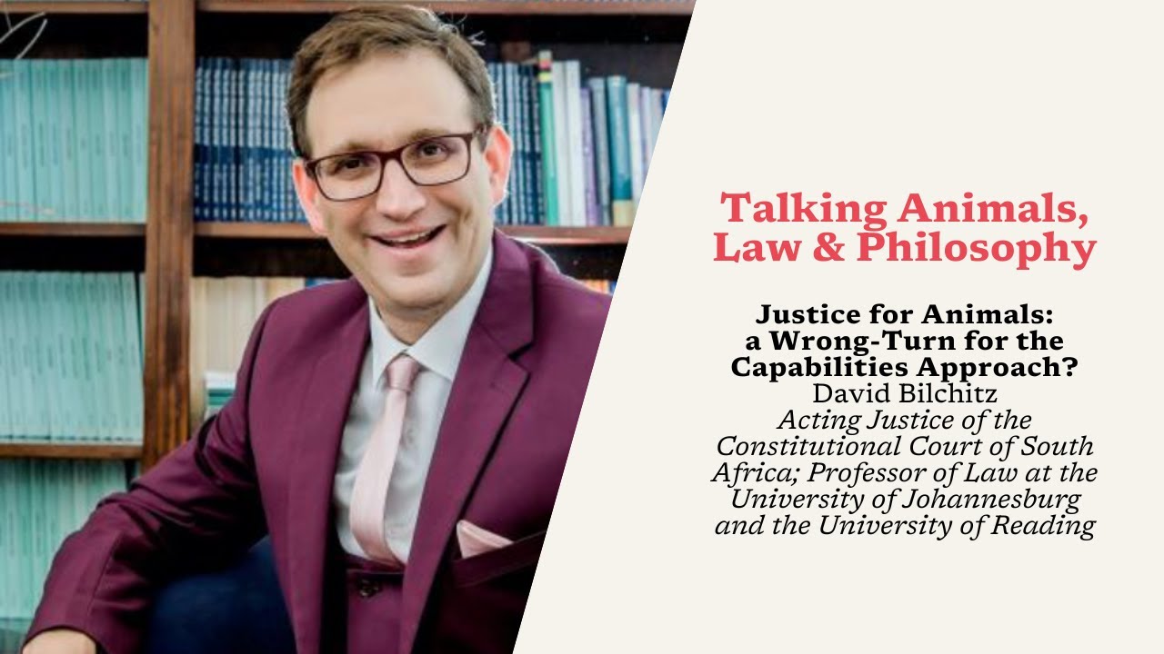 David Bilchitz on “Justice for Animals: a Wrong-Turn for the ...