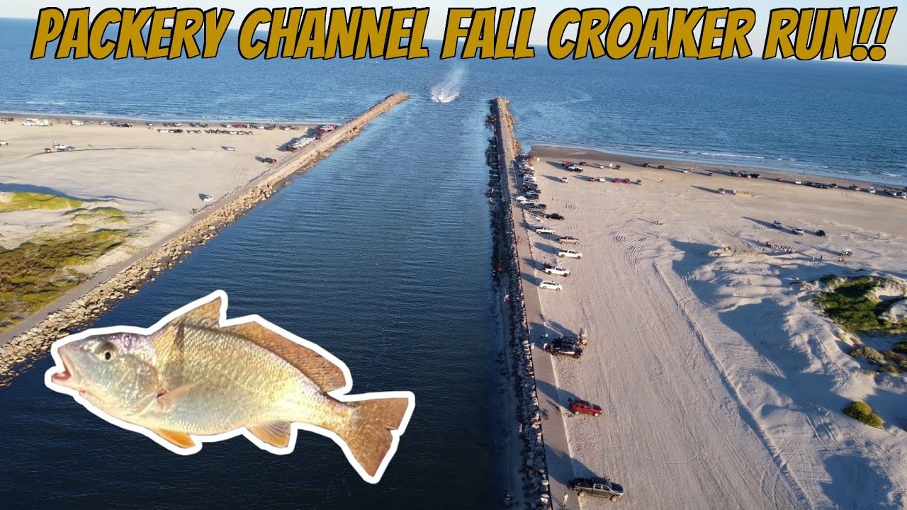 Fall Fishing Packery Channel | Corpus Christi | CROAKER RUN | FISHBITES ...
