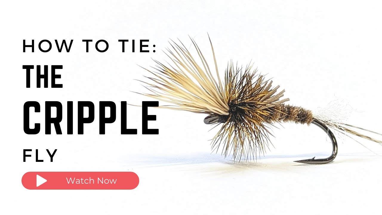 Fly Tying TUTORIAL: The Cripple - YouTube
