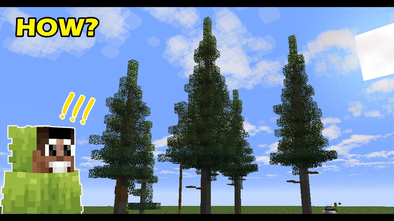 How To build Trees Like Bdubs In Minecraft 2025! - YouTube