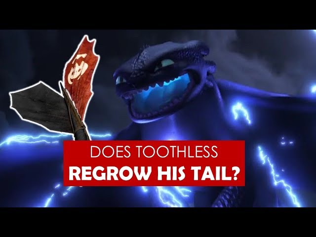 What Happened To Toothless Tail