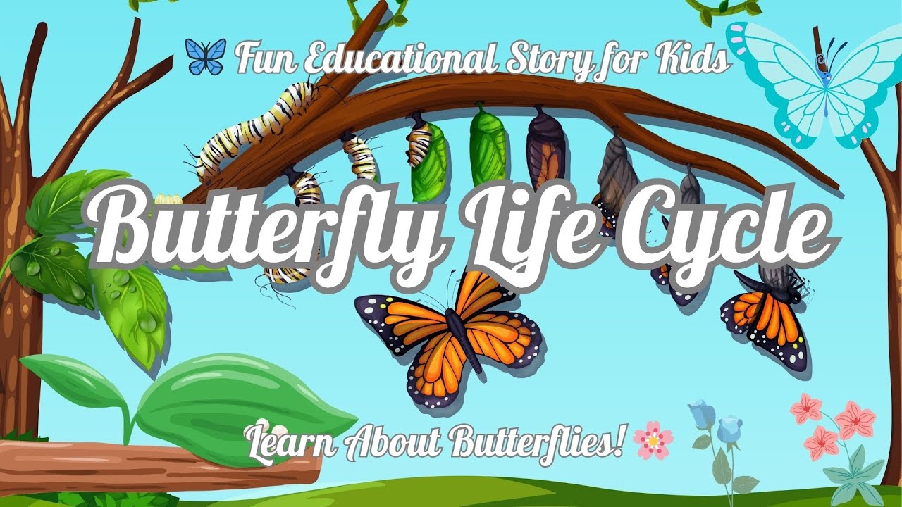 The Amazing Butterfly Life Cycle 🦋 | Fun Educational Story for Kids ...