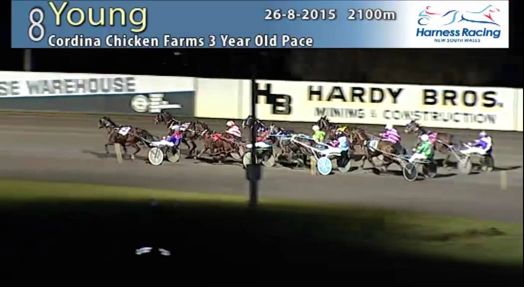 YOUNG - 26/08/2015 - Race 8 - CORDINA CHICKEN FARMS THREE YEAR OLD PACE ...