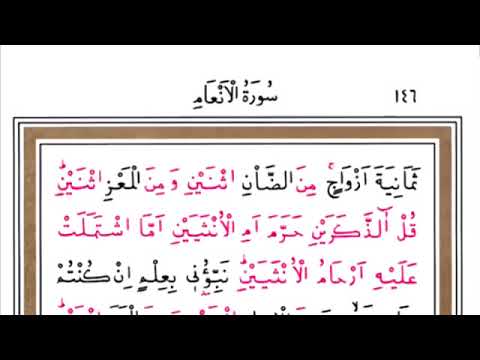 HATMI SERIF KURAN I KERIM 8 cuz hizli mukabele 2013 hayrat - YouTube