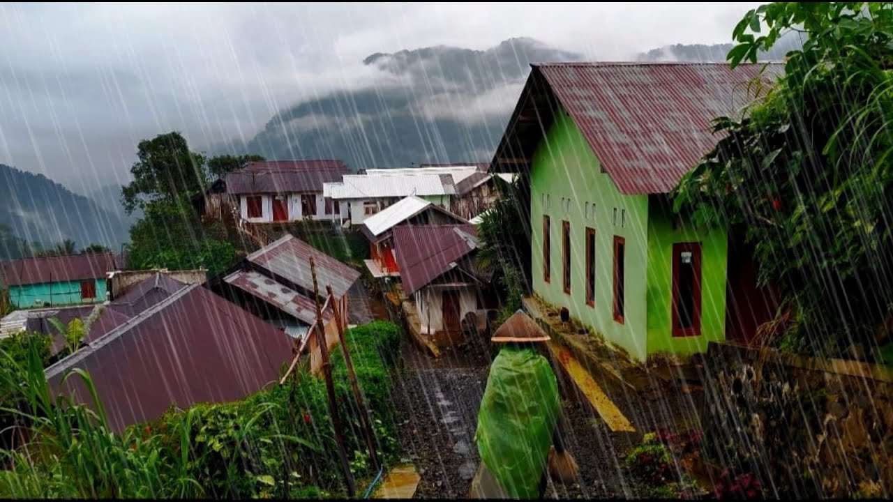 Beautiful raindrops pouring down on the village||very fresh and green ...