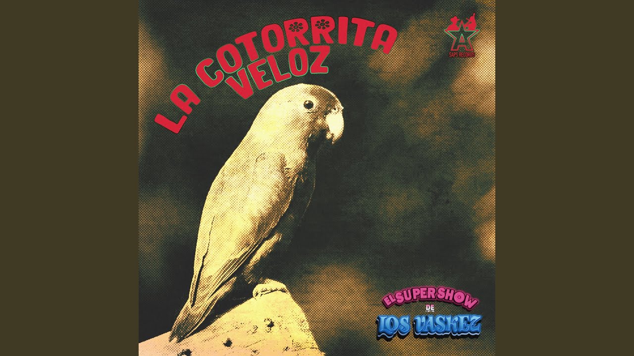 La Cotorrita Veloz - YouTube