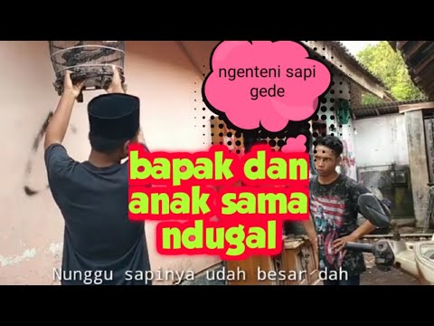 komedi: BAPAK DAN ANAK SAMA NDUGAL