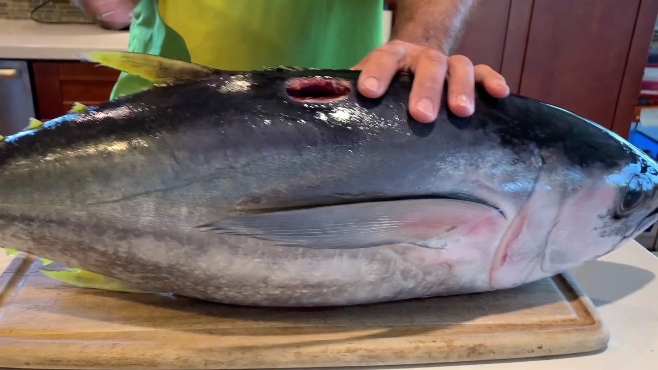 Ahi Fillet Tutorial by Maui Fish Delivery - YouTube