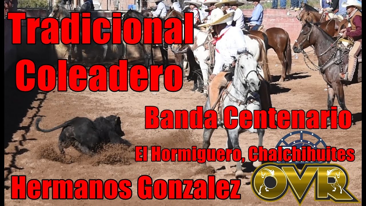 Tradicional Coleadero - Lienzo Charro Hermanos González, El Hormiguero ...